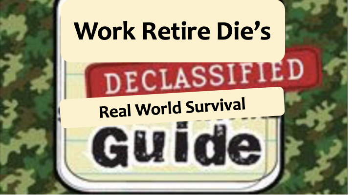 Work Retire Die’s Post-Grad Survival Guide: How to Thrive in the Real ...
